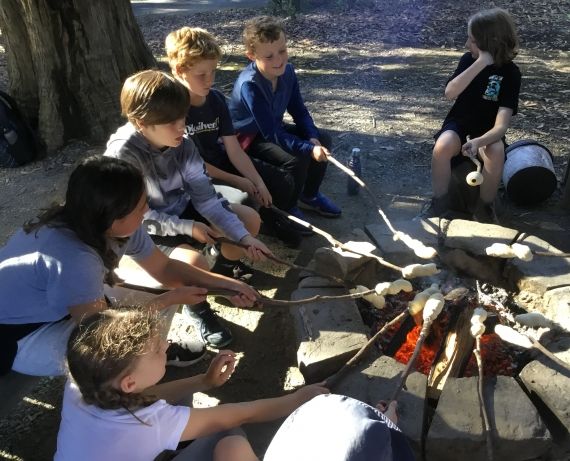 Mount Martha Primary School